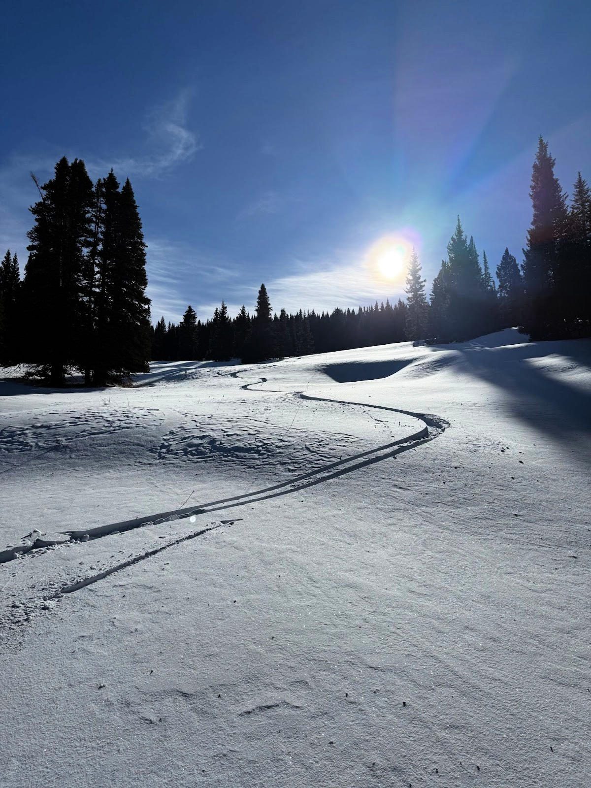Understanding Avalanche Elevation Bands – FriendsofCAIC